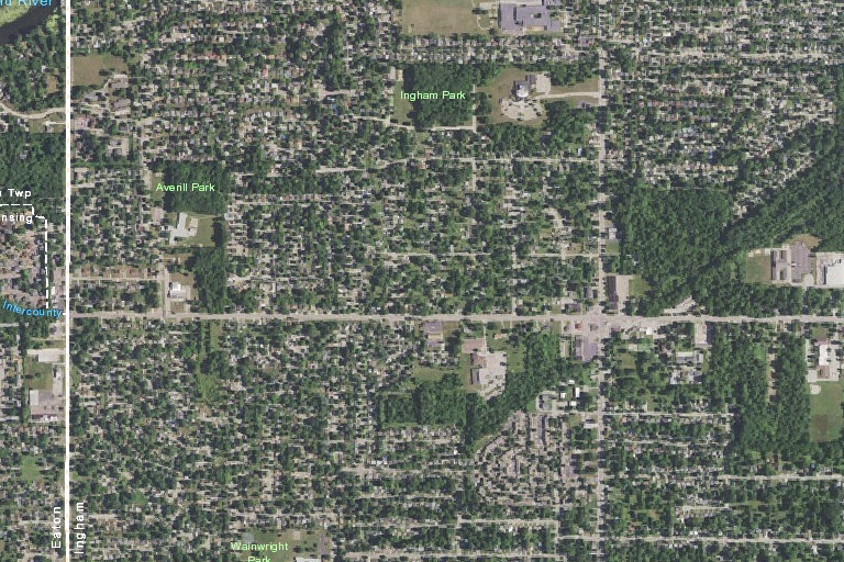 Person lying partially on street during welfare check, Lansing MI ...