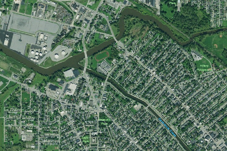 Loose pit bull reported near South Park Avenue, Buffalo NY | CrimeRadar