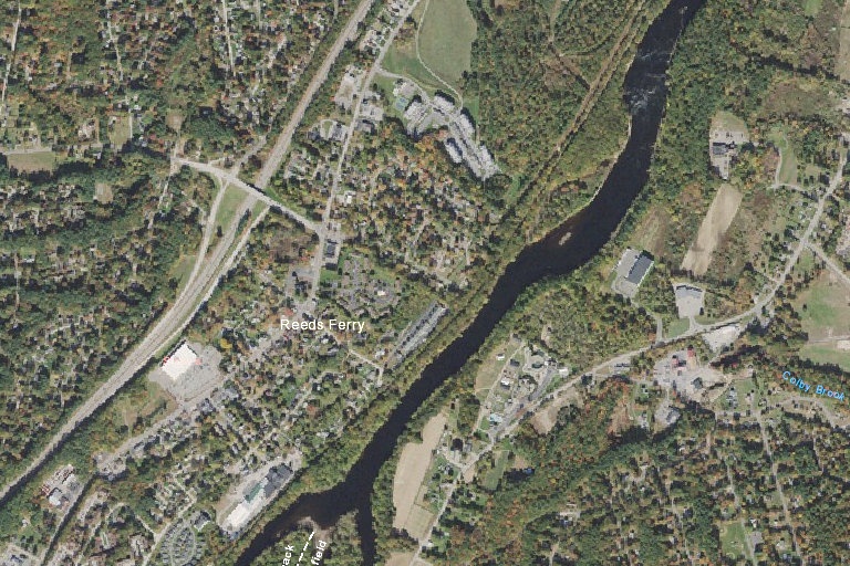 Loose dog reported near pleasant and depot streets, Merrimack NH ...