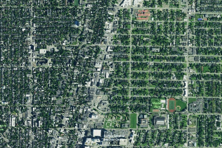 Tree blocks road on Ellicott Street, Buffalo NY | CrimeRadar