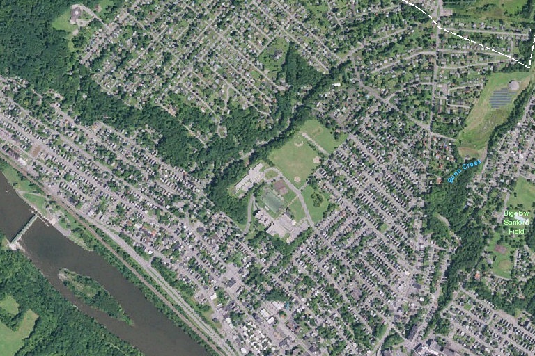 Dog reportedly loose near Glen Ave, Amsterdam NY | CrimeRadar