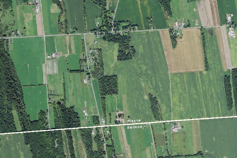 Tree and power lines block roadway near Whiskey Hill Rd, Clyde NY ...
