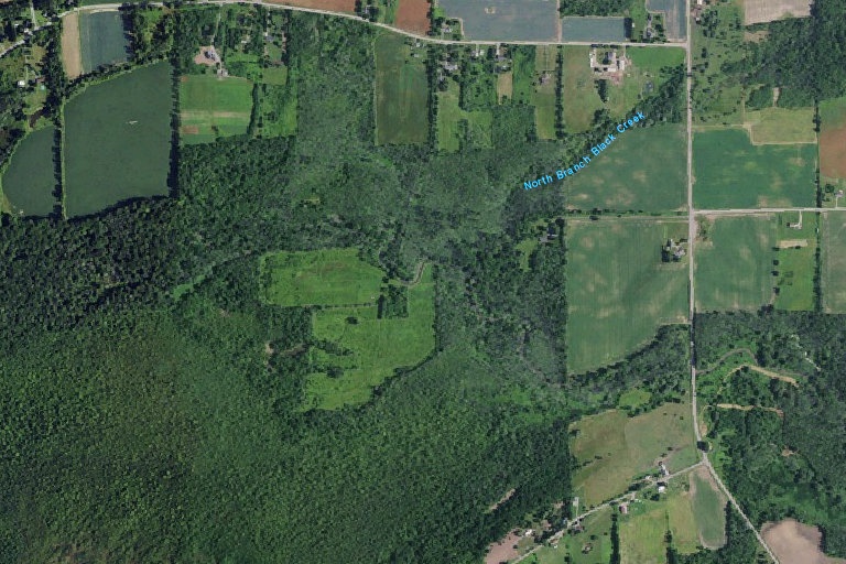 Medical emergency for 54-year-old man with abdominal pain, Bergen NY ...