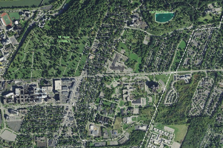 Police stop individual near Chipotle for hit and run check, Rochester ...