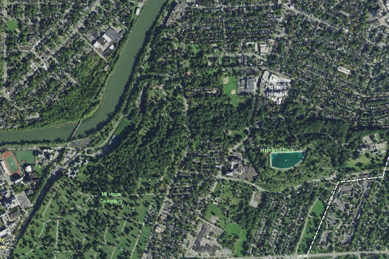 Female cuts self and breaks windows at First Ave home, Rochester NY ...