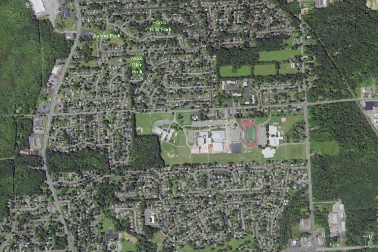 Loose pit bull mix running near Wetzel Woods Path tracks, Onondaga ...