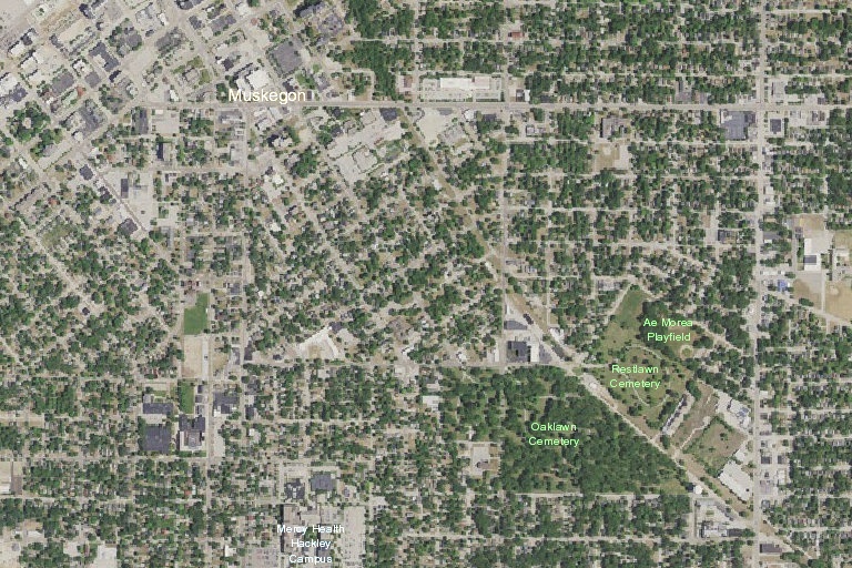 Woman rushed to Forest View hospital after severe abdominal pain ...