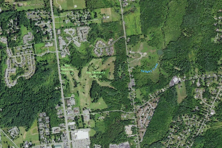 Pregnant woman experiencing heavy vaginal bleeding at apartment, Glens ...