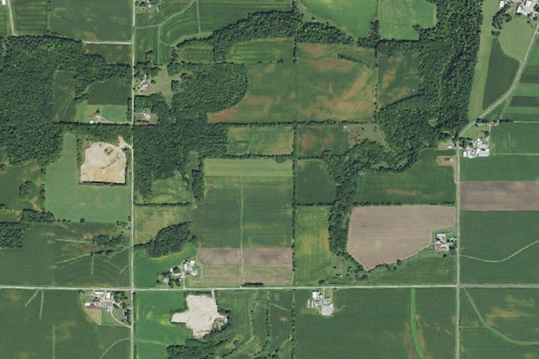 Cows loose on roadway near County Highway J and Richards Road, Columbia ...