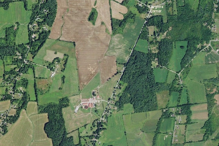 Animal welfare concern on Vaughn Road, Hudson Falls NY | CrimeRadar