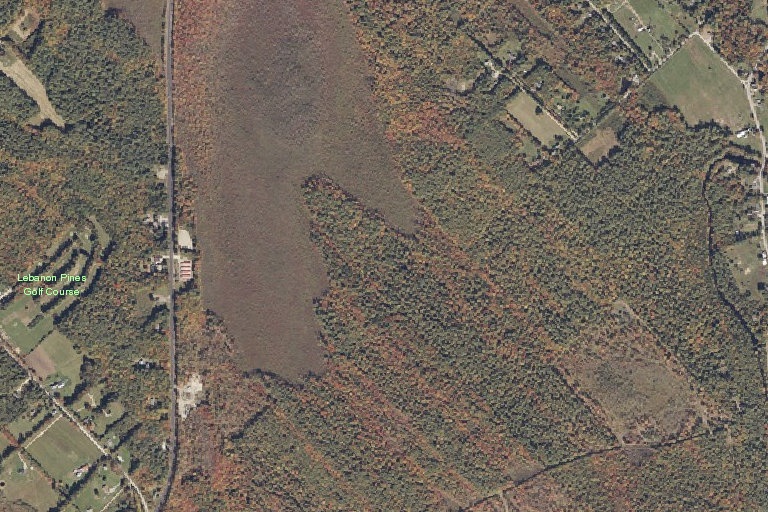 Red dog with taped leg secured in yard, Lebanon ME | CrimeRadar