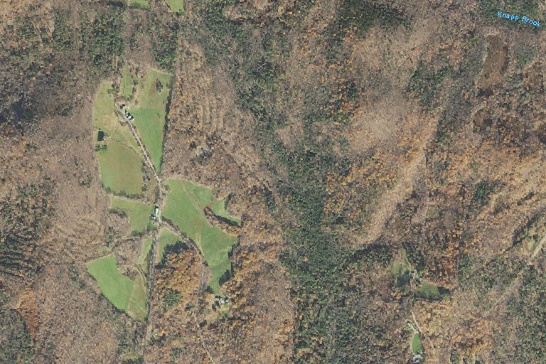 Windy conditions raise alarm over burning tree stump in Windsor County ...