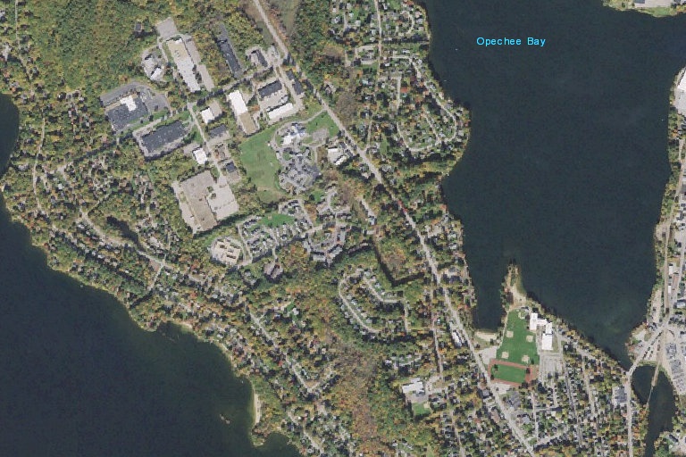 Tree down blocks road in Laconia, Laconia NH | CrimeRadar