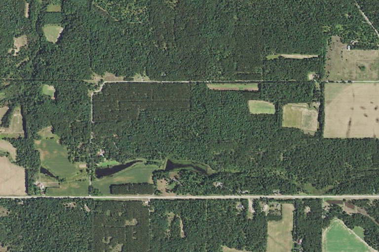 Child stuck in tree needs help to get down, Wisconsin Dells WI | CrimeRadar