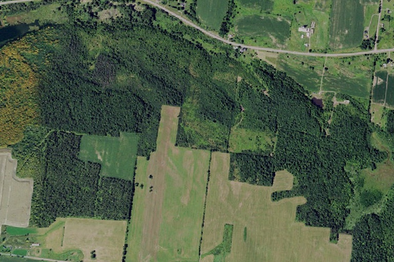 Female requires medical help for abdominal pain, Jefferson County NY ...