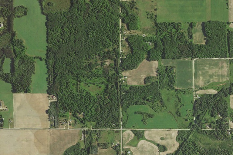 Woman injured with arm tear and hip pain after fall, Wexford County MI ...