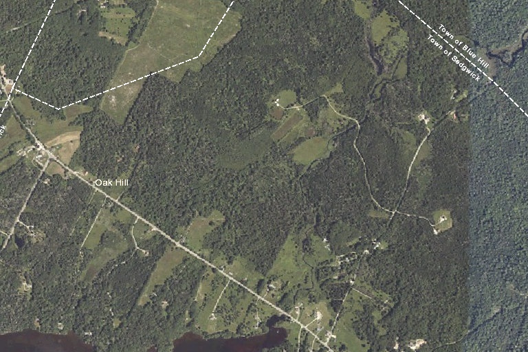 Woman suffers fall due to dizziness and abdominal pain, Sedgwick ME ...