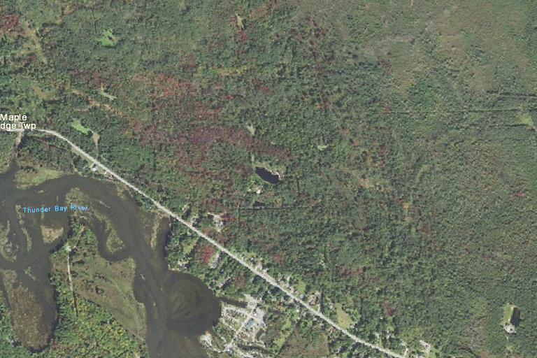 65-year-old man falls and cannot get up near Long Rapids Rd, Alpena MI ...