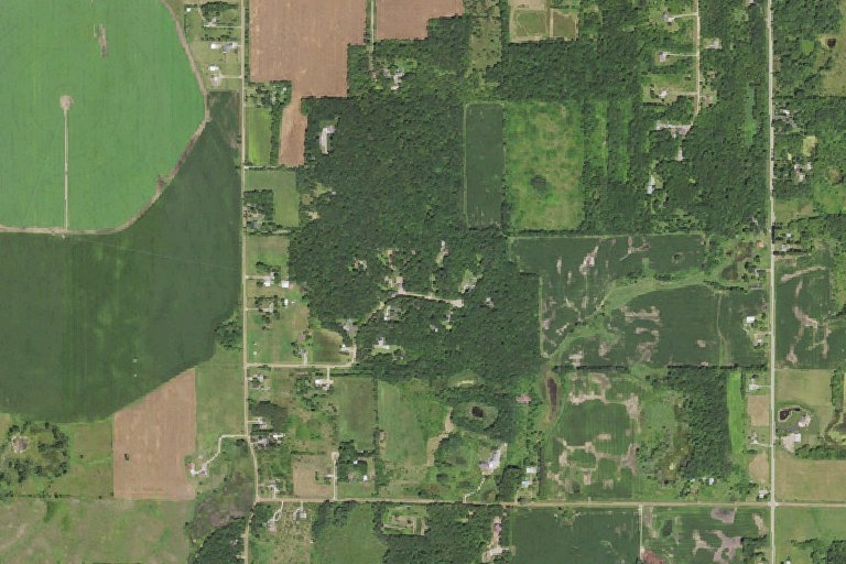 Elderly woman treated for fever and leg swelling in Clearwater ...