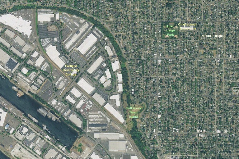 Tended warming fire near Killingsworth and Willamette, Portland OR ...