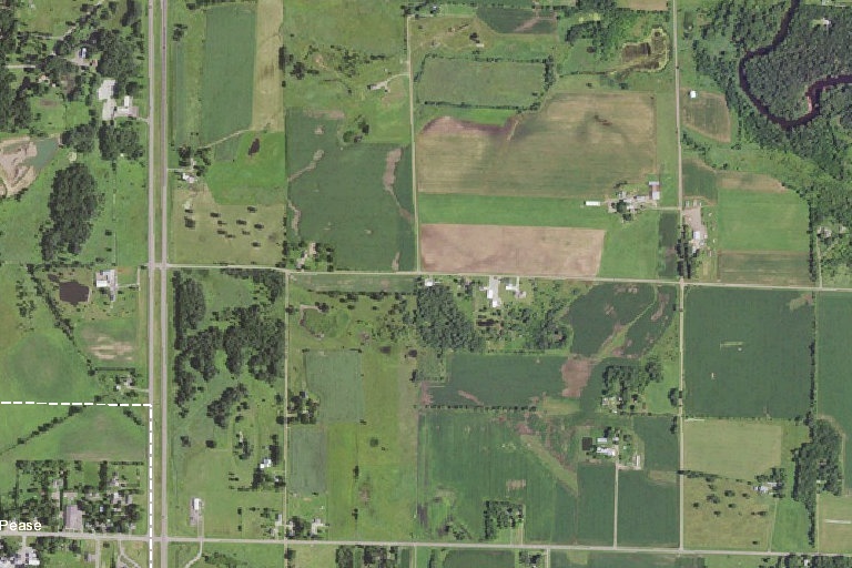 Debris of three large dead birds reported on highway, Mille Lacs County ...