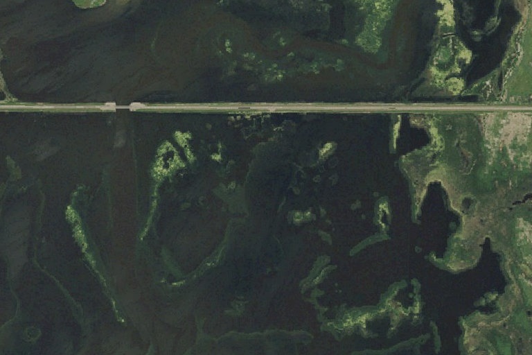 Vehicle strikes cow on Highway 21, Brown County SD | CrimeRadar