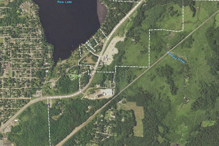 Two dogs running in road near Tilly and Mississippi River, Crow Wing ...