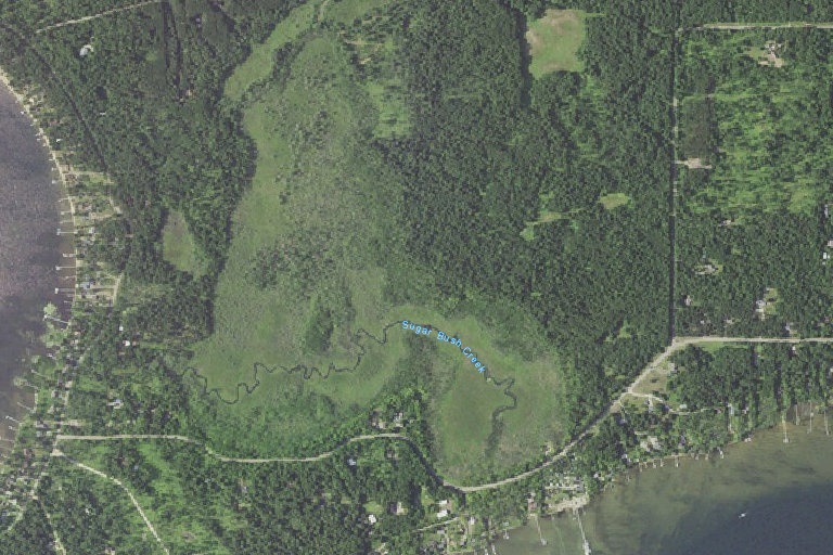 Female with weakness and infected legs needs medical help, Brainerd MN ...