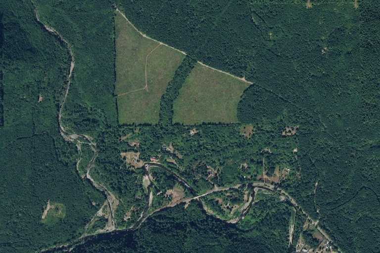 Power line down with smoke risking fire near Bergen Rd, Lewis County WA ...