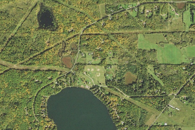 Injured dog found abandoned near West Chub Lake Road, Carlton County MN ...