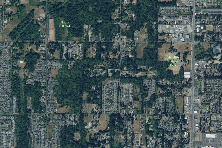 Disorderly party reported near 150th St E in South Hill, South Hill WA ...