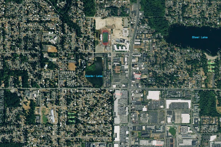 Vehicle stolen with gun inside at Little Caesars, Federal Way WA ...