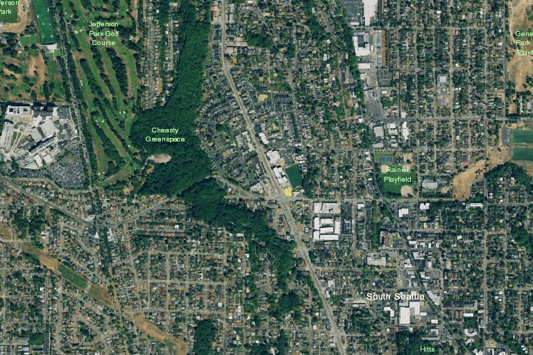 fire response at building near Martin Luther King Jr Way South, Seattle ...