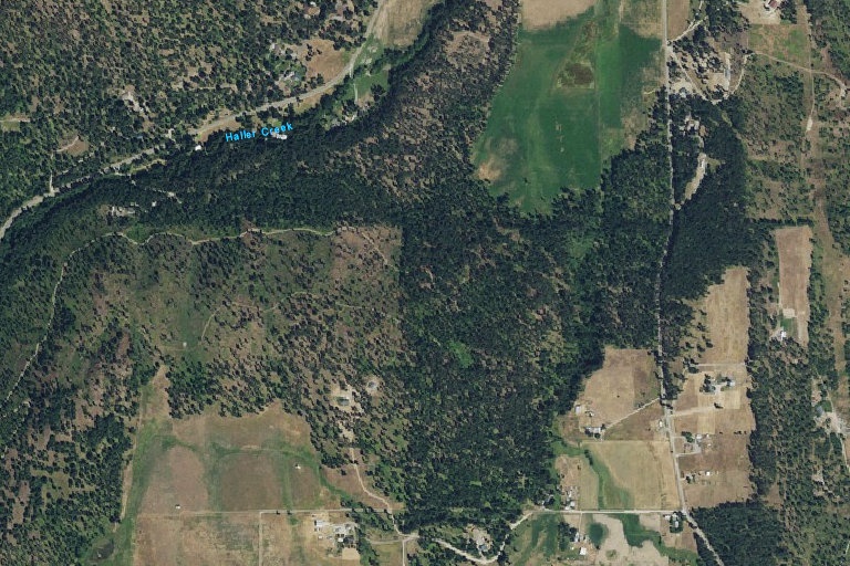 Woman with dizziness and back pain needs ambulance, Stevens County WA ...