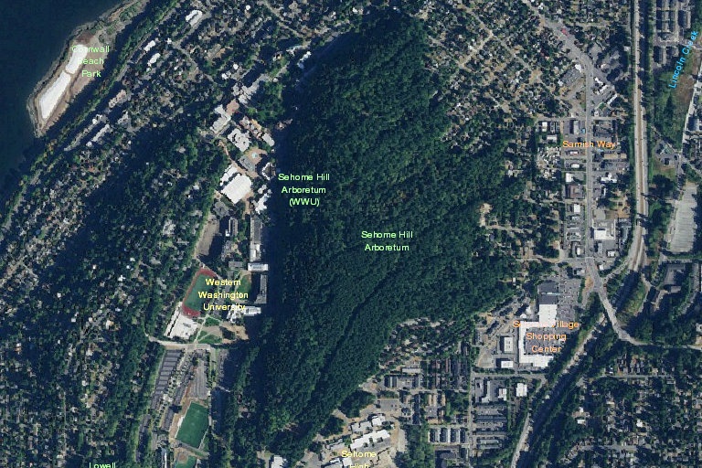 Vehicles performing burnouts in high school parking lot, Bellingham WA ...