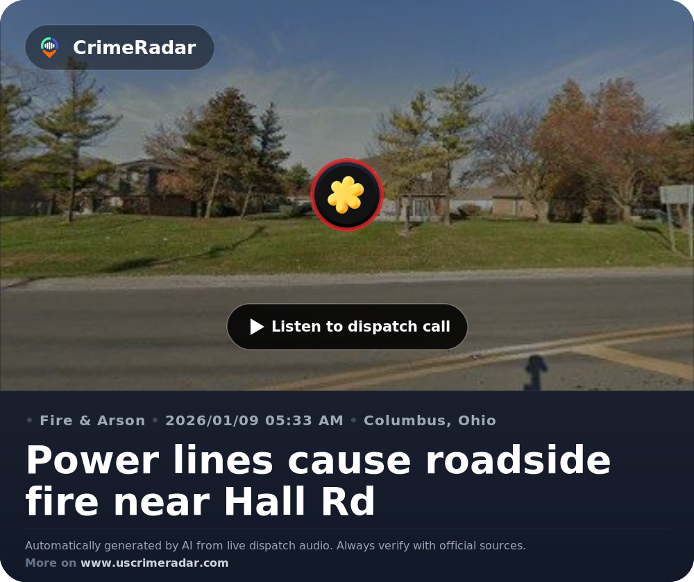 Power lines cause roadside fire near Hall Rd, Columbus OH | CrimeRadar