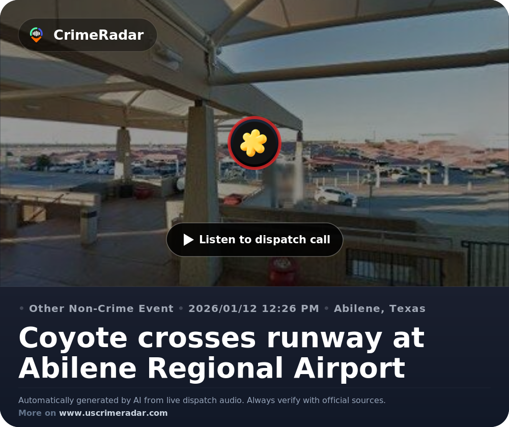 Coyote crosses runway at Abilene Regional Airport, Abilene TX | CrimeRadar