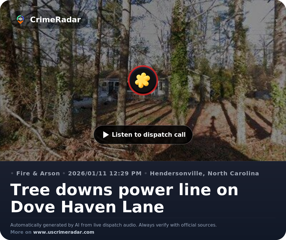 Tree downs power line on Dove Haven Lane, Hendersonville NC | CrimeRadar