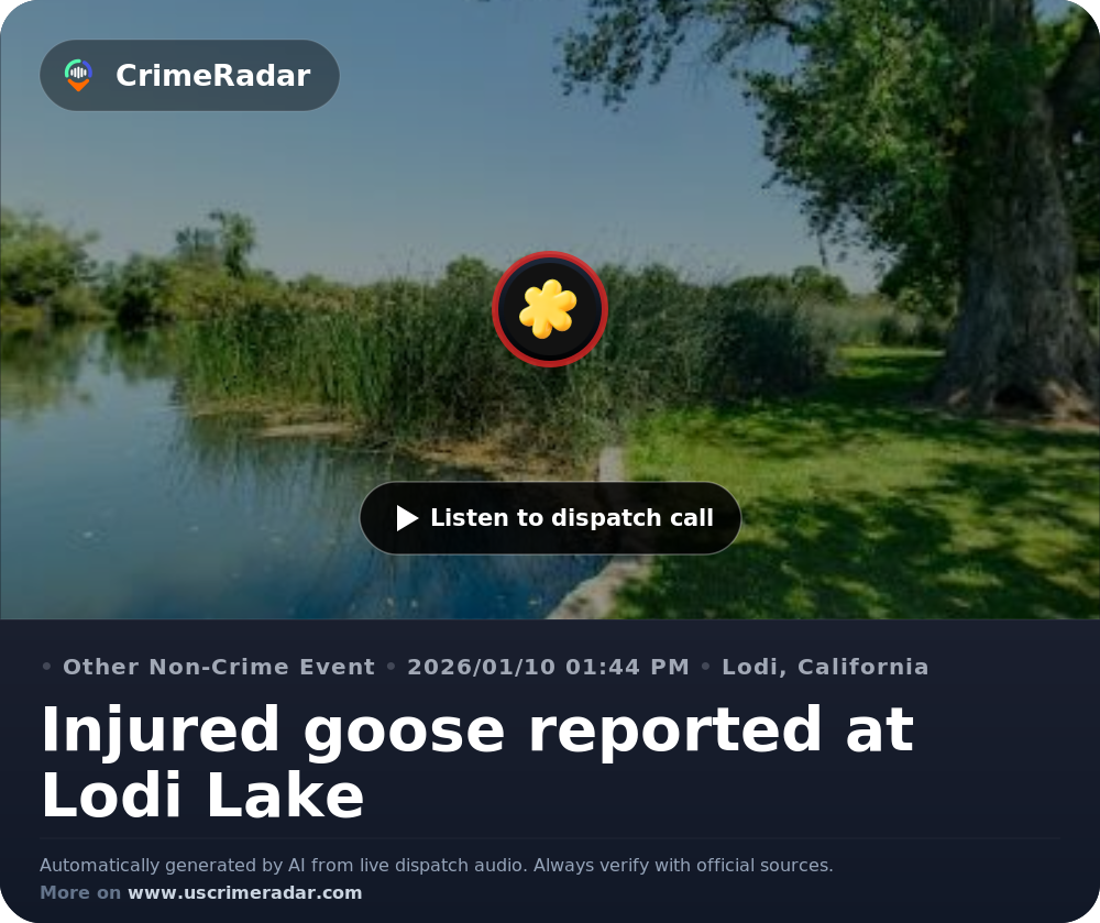 Injured goose reported at Lodi Lake, Lodi CA | CrimeRadar