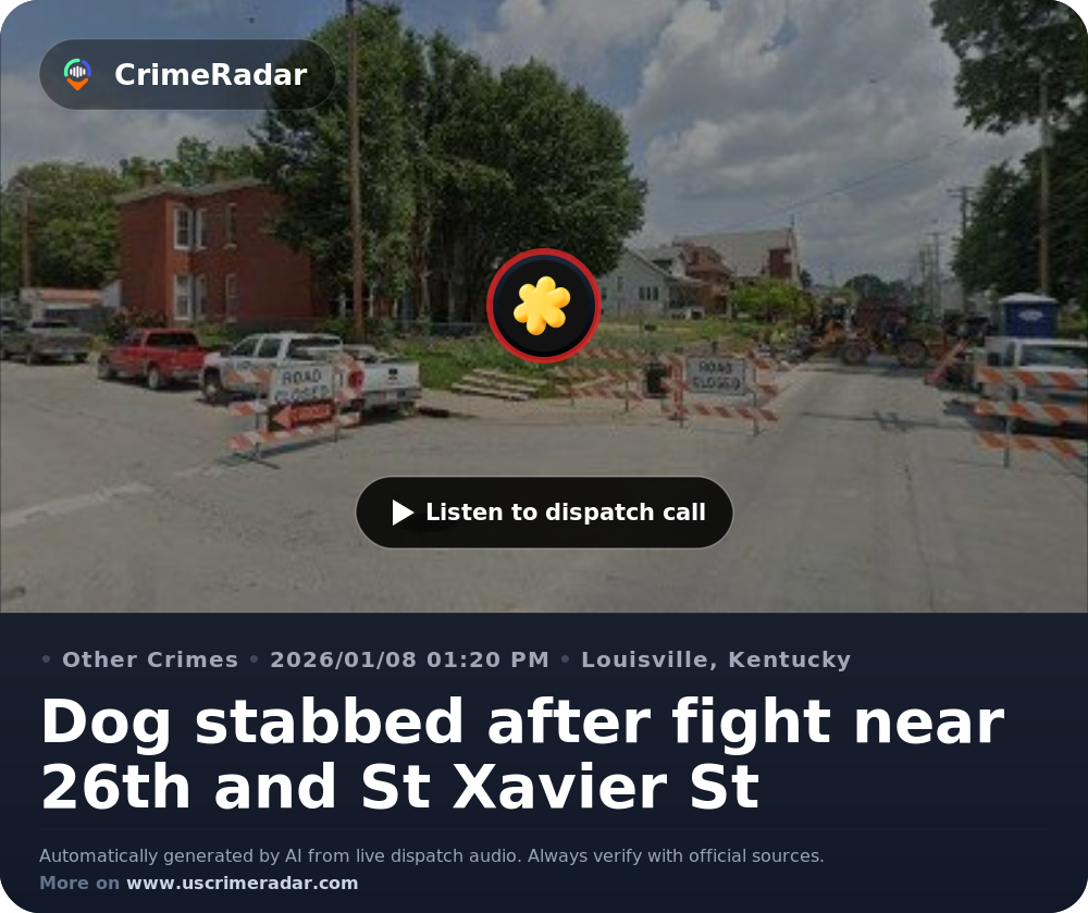 Dog stabbed after fight near 26th and St Xavier St, Louisville KY ...
