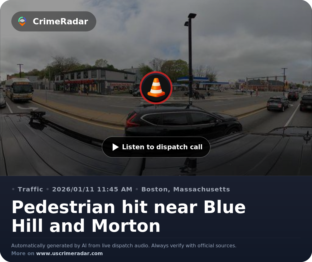 Pedestrian hit near Blue Hill and Morton, Boston MA | CrimeRadar