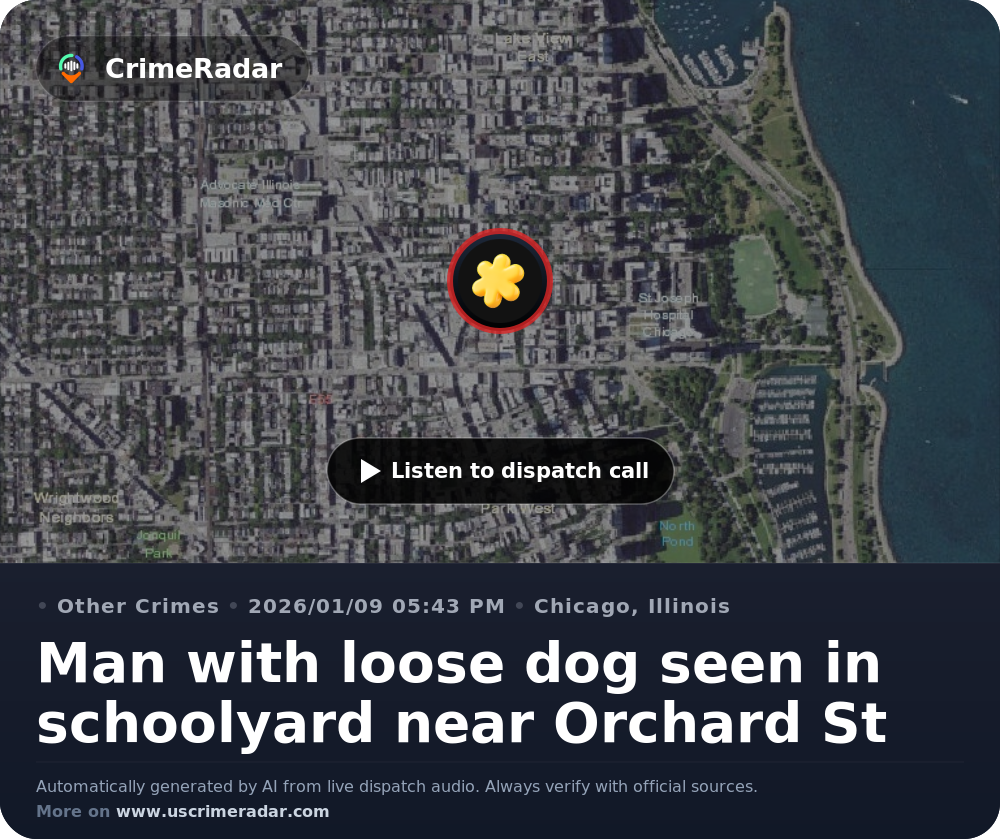 Man with loose dog seen in schoolyard near Orchard St, Chicago IL ...
