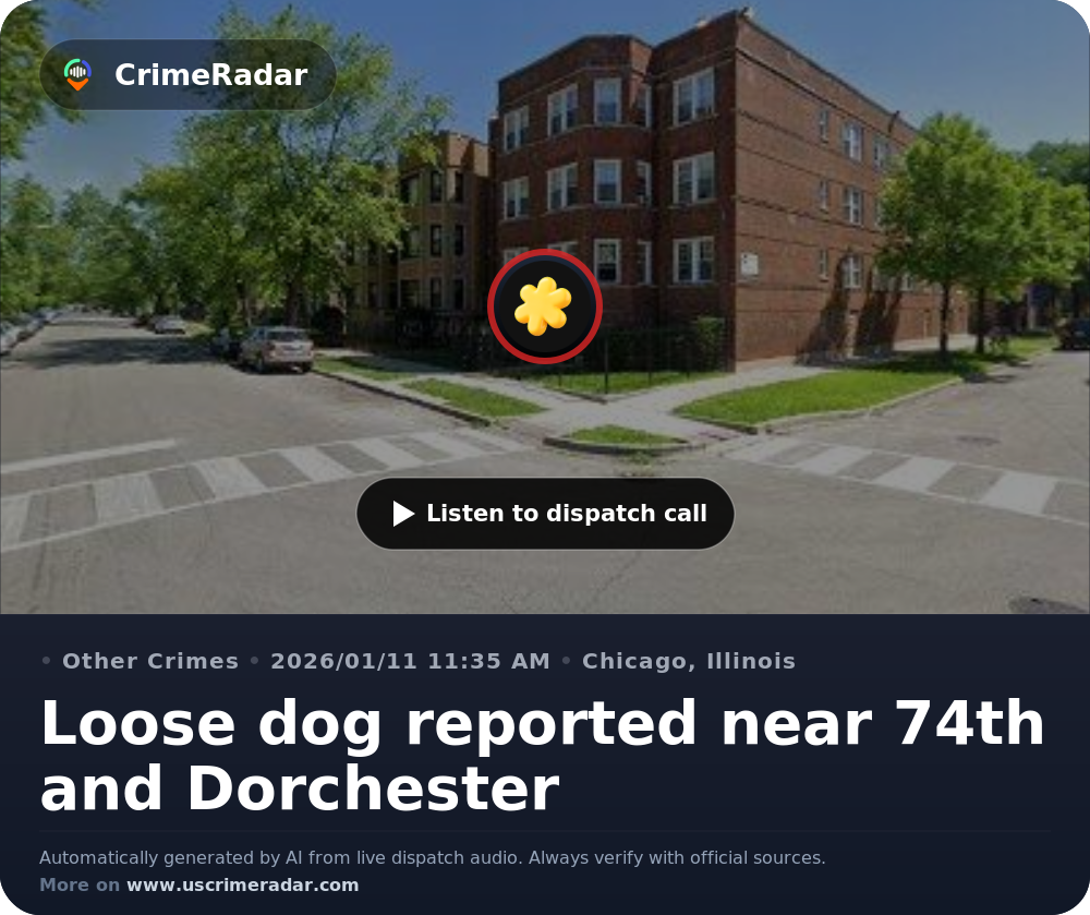 Loose dog reported near 74th and Dorchester, Chicago IL | CrimeRadar
