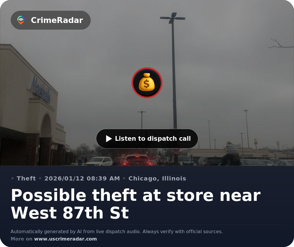 Possible theft at store near West 87th St, Chicago IL | CrimeRadar