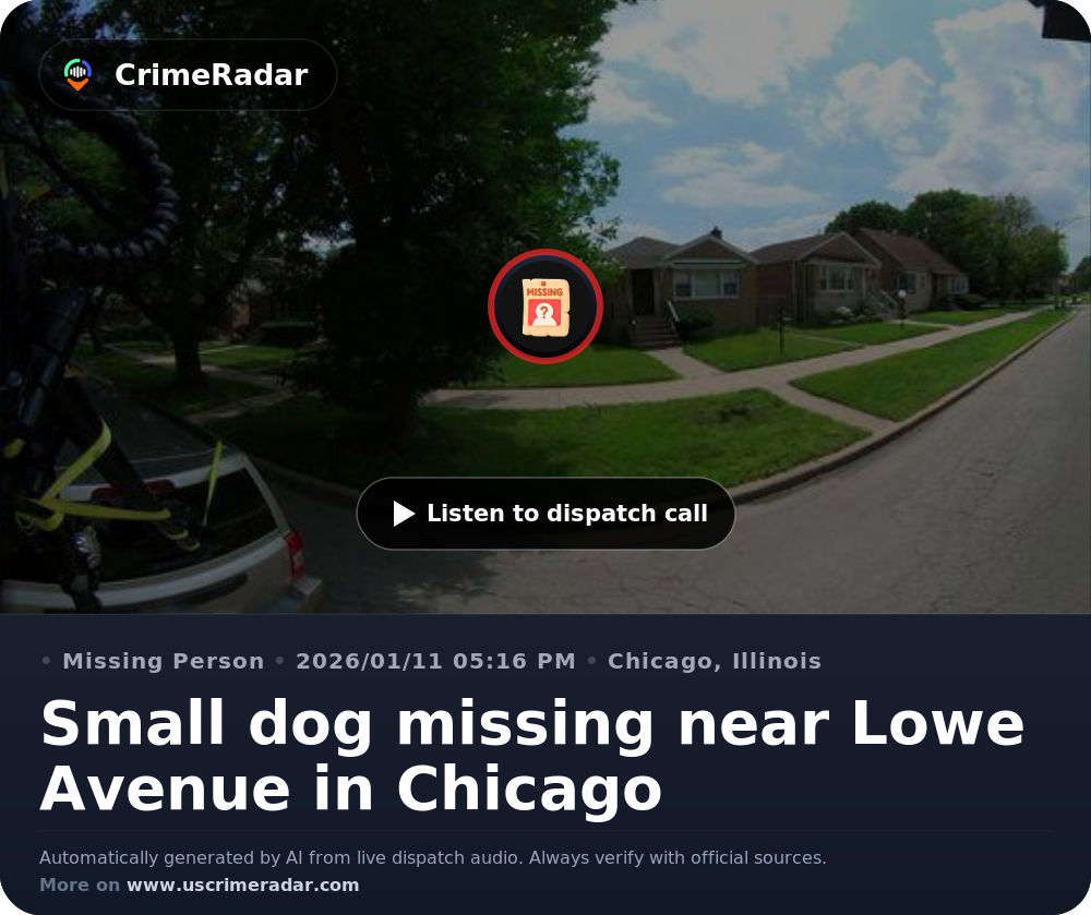 Small dog missing near Lowe Avenue in Chicago, Chicago IL | CrimeRadar