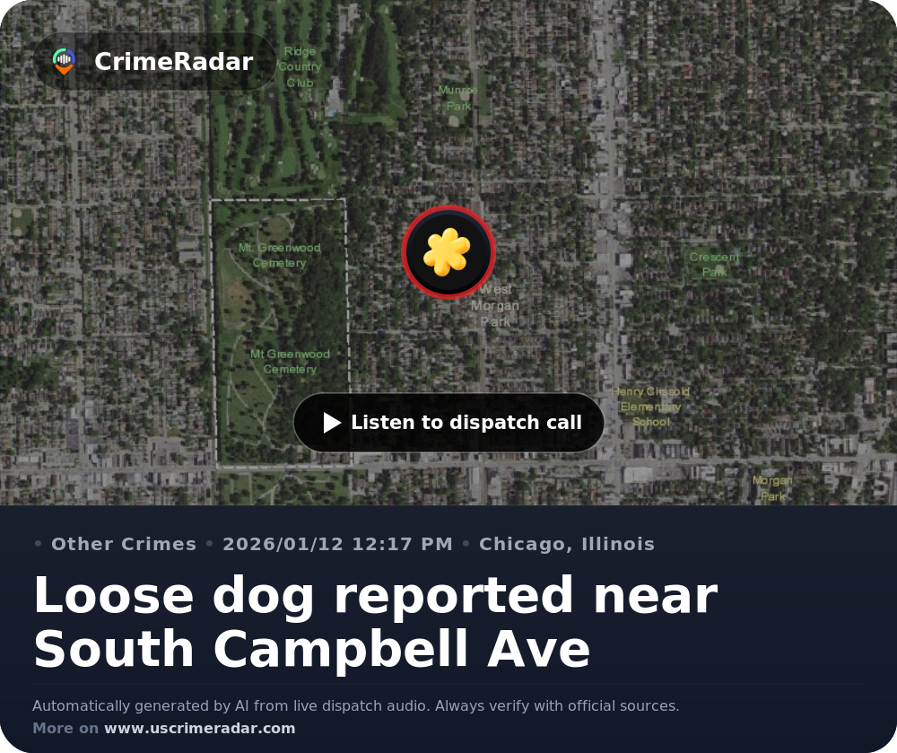 Loose dog reported near South Campbell Ave, Chicago IL | CrimeRadar