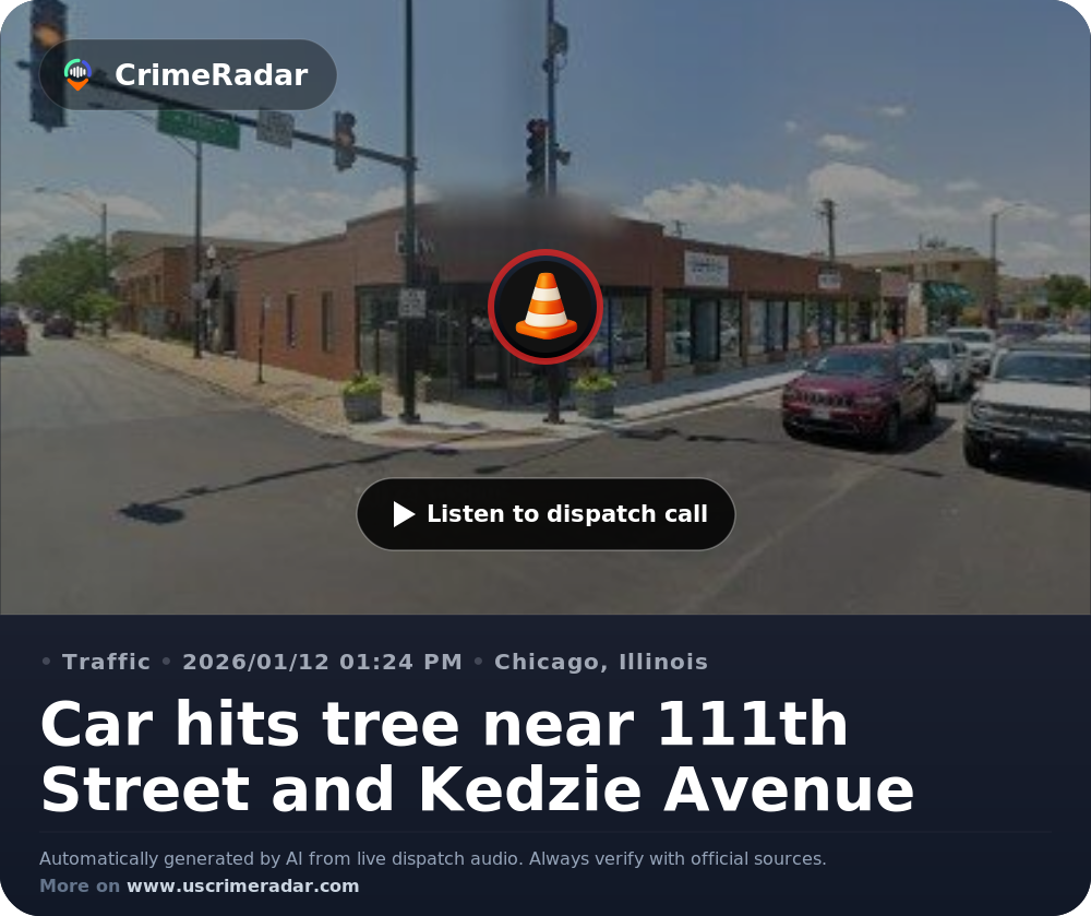 Car hits tree near 111th Street and Kedzie Avenue, Chicago IL | CrimeRadar