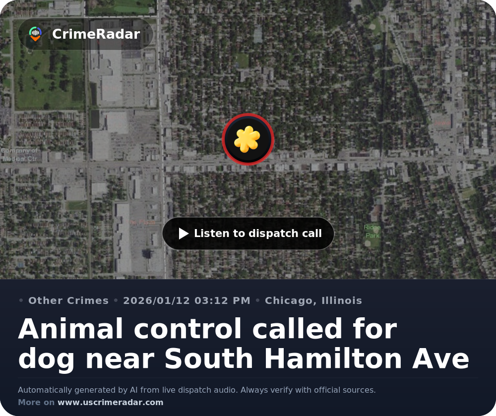 Animal control called for dog near South Hamilton Ave, Chicago IL ...