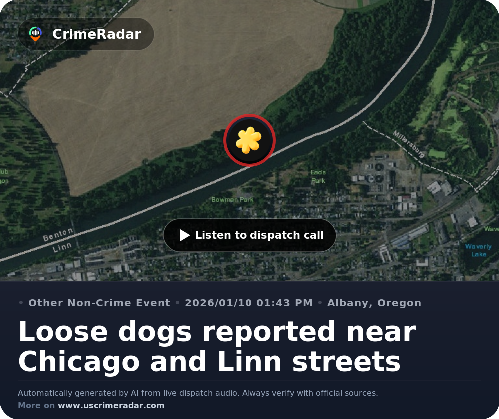 Loose dogs reported near Chicago and Linn streets, Albany OR | CrimeRadar
