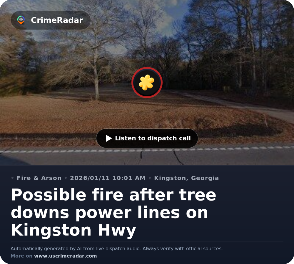 Possible fire after tree downs power lines on Kingston Hwy, Kingston GA ...